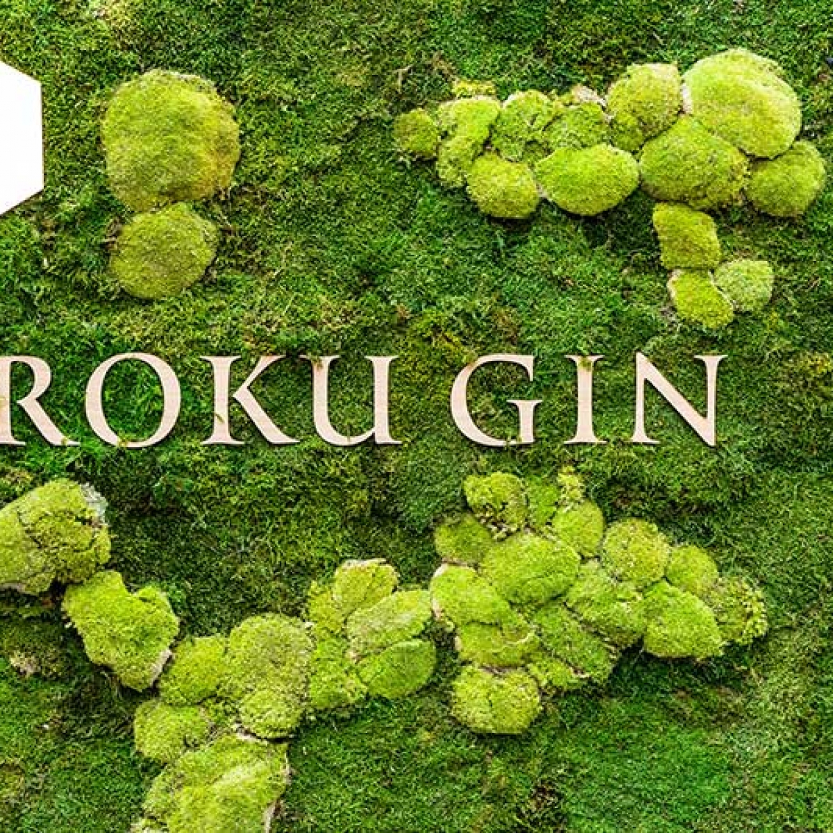 Brand events - Funk it Up!